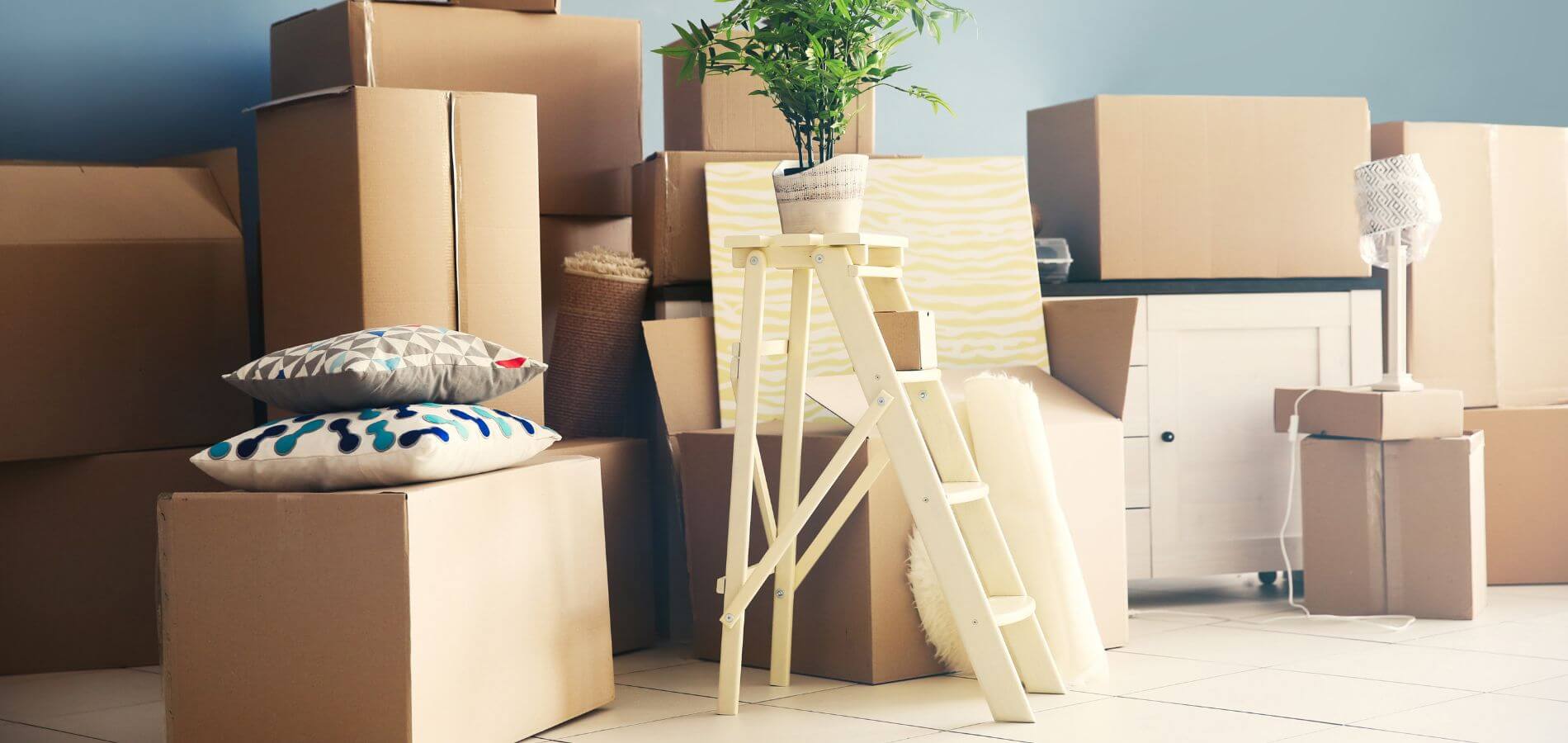 Misbah Awan Impex - Freight Forwarding, Import/ Export Clearance, Pet ...